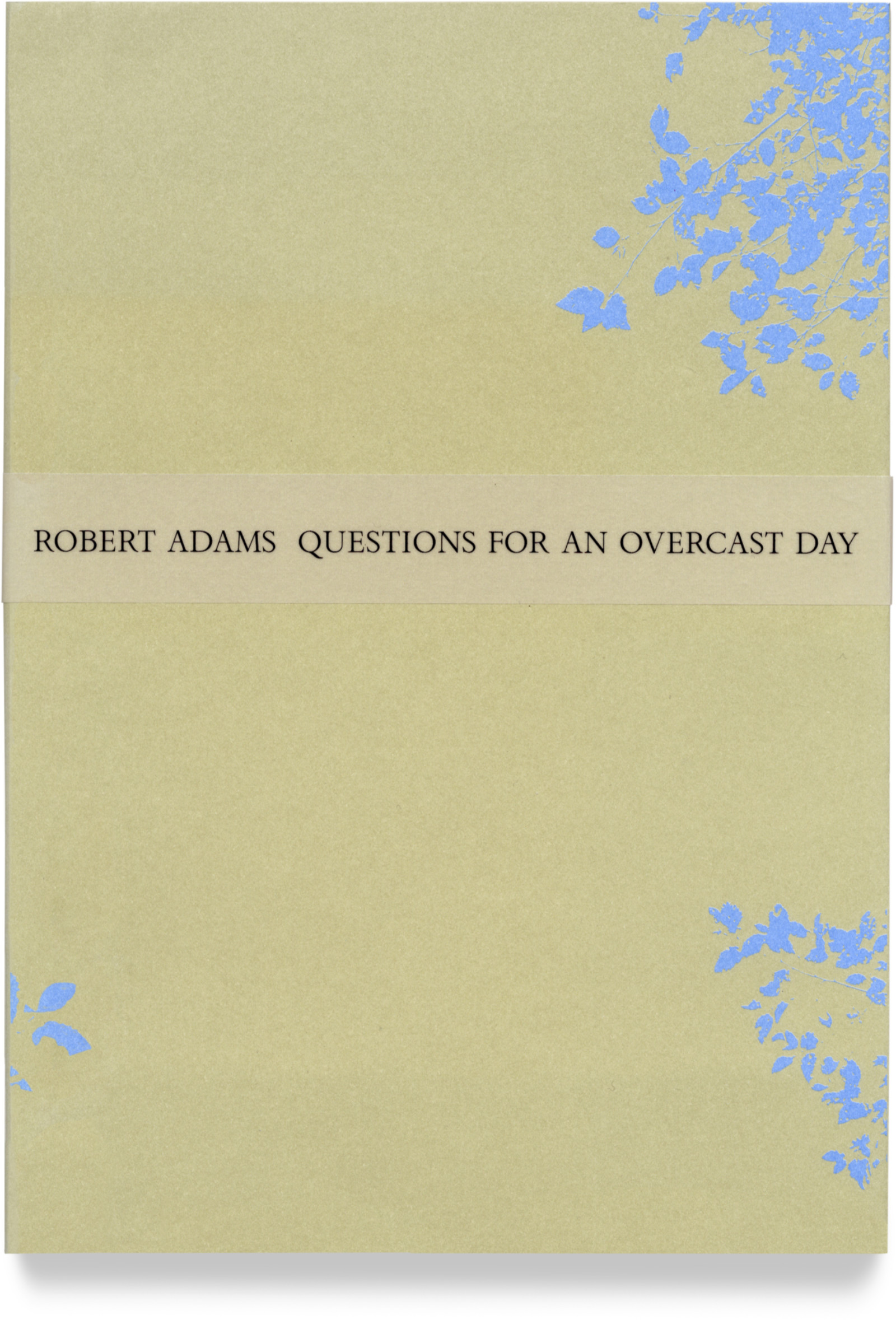 ROBERT ADAMS Questions for an Overcast Day | Matthew Marks Gallery