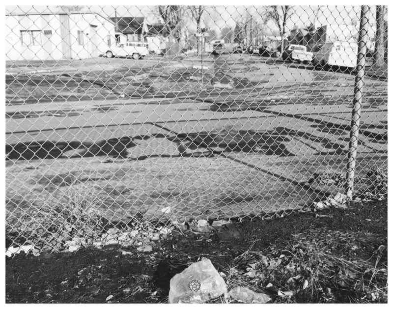 Untitled, ROBERT ADAMS, VINCENT FECTEAU, ROBERT GOBER, MARTIN PURYEAR ...