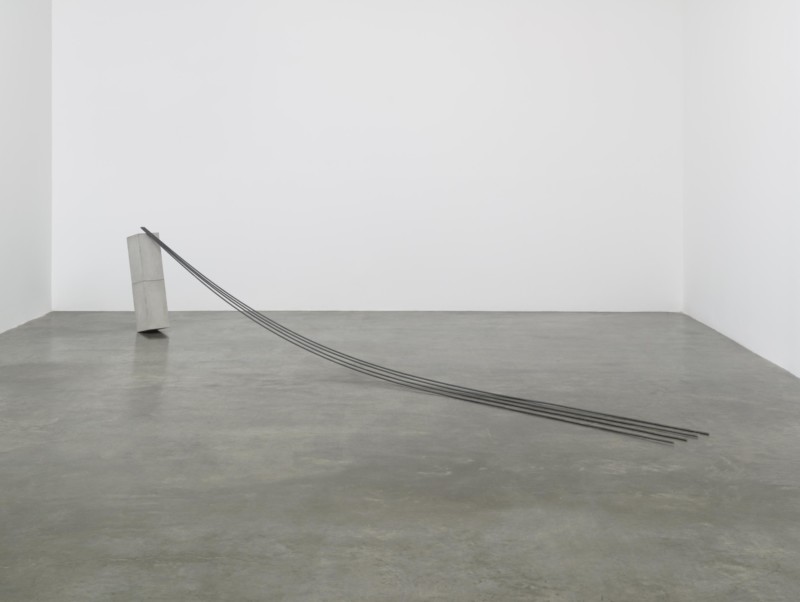Untitled, ROBERT ADAMS, VINCENT FECTEAU, ROBERT GOBER, MARTIN PURYEAR ...