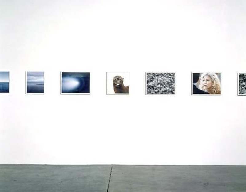 RONI HORN PI | Matthew Marks Gallery