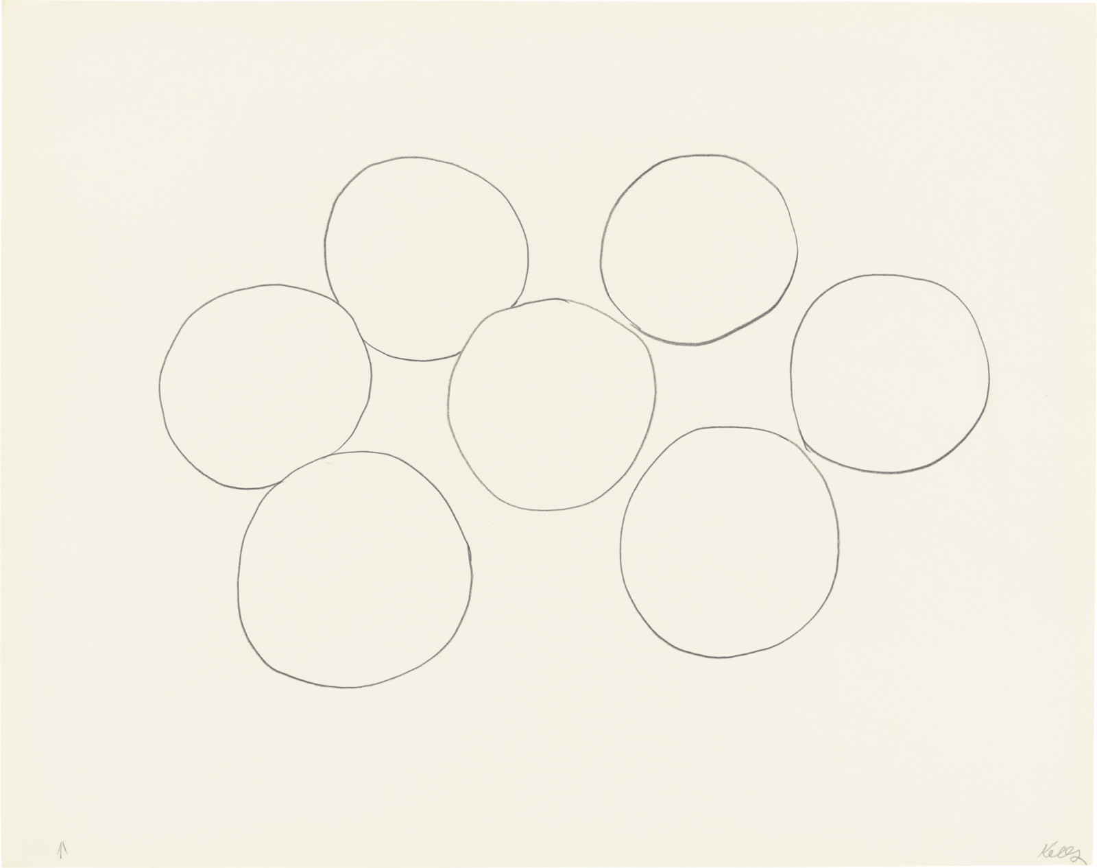 Seven Oranges, ELLSWORTH KELLY Plant Drawings | Matthew Marks Gallery