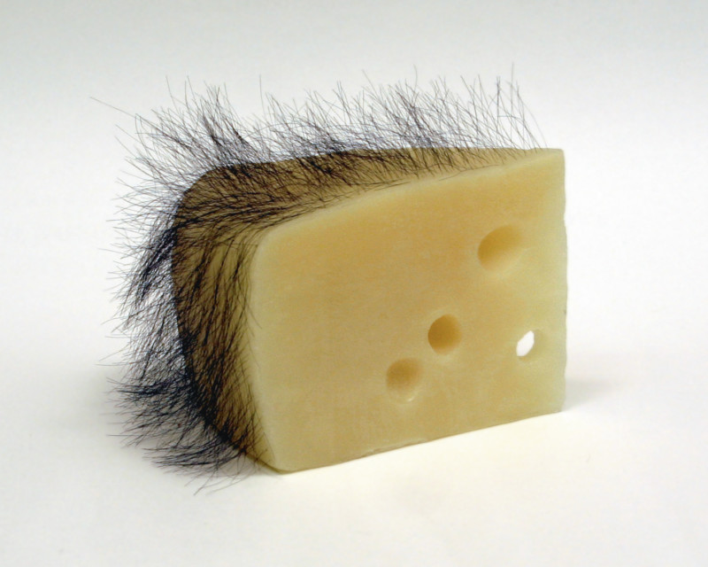 Short Haired Cheese, Robert Gober | Matthew Marks Gallery