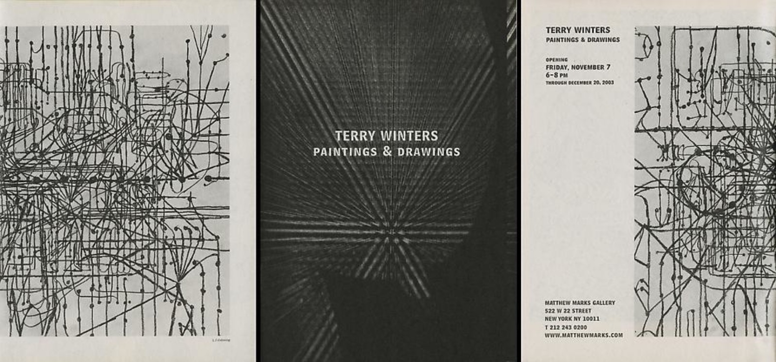 TERRY WINTERS Paintings and Drawings | Matthew Marks Gallery