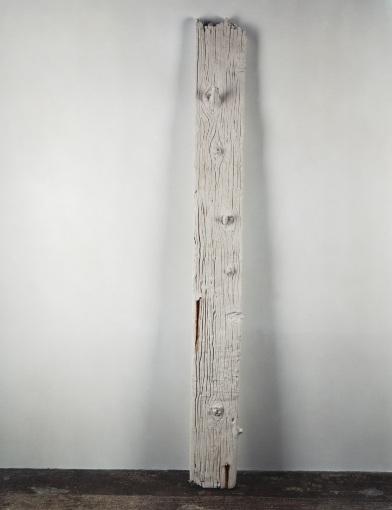 ROBERT GOBER | Matthew Marks Gallery