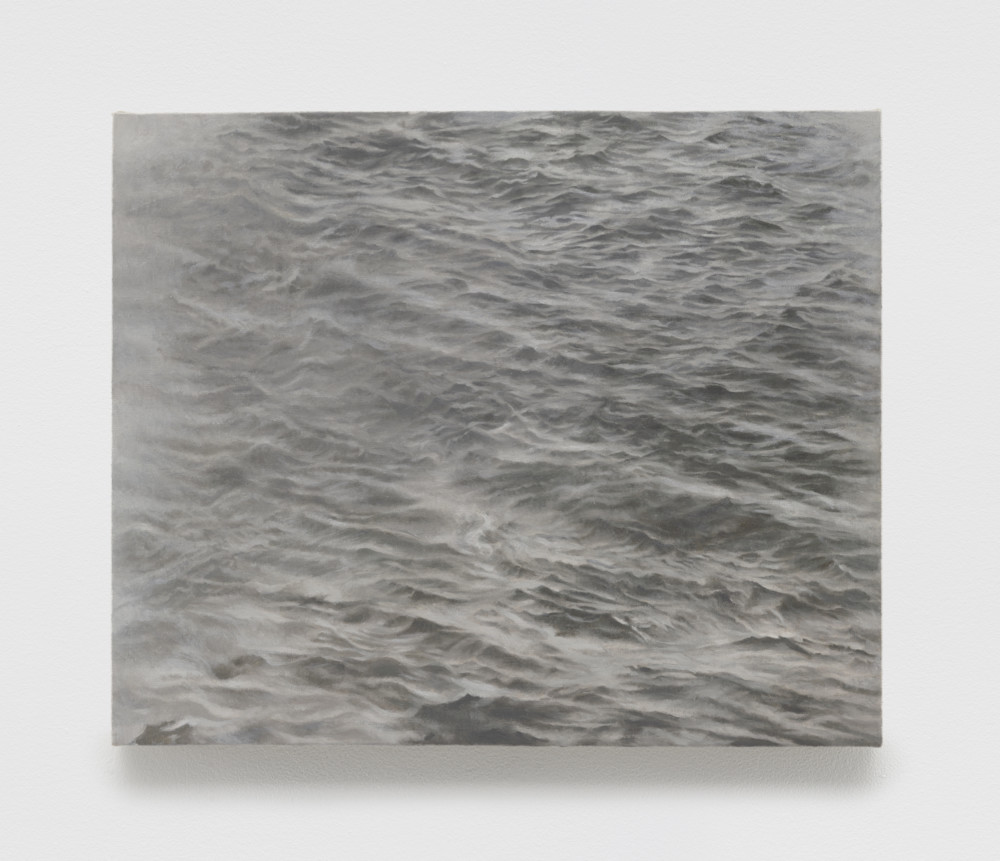 VIJA CELMINS | Matthew Marks Gallery
