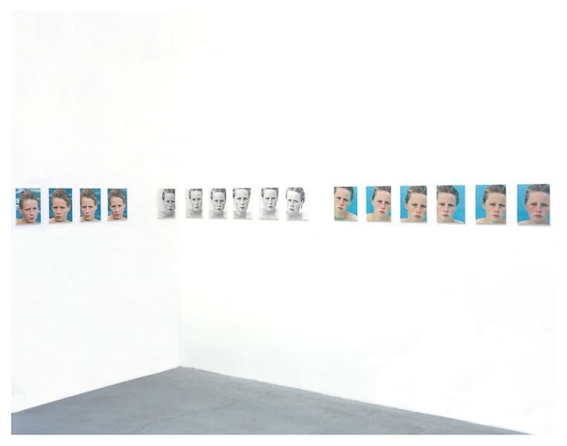 You are the Weather, RONI HORN Five Installations | Matthew Marks Gallery